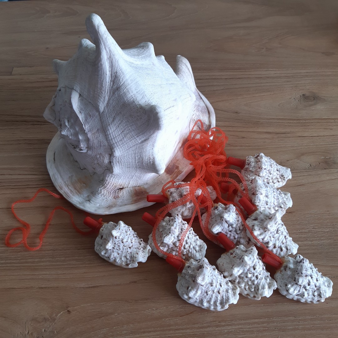 Beach nautical props, Furniture & Home Living, Home Decor, Other Home ...