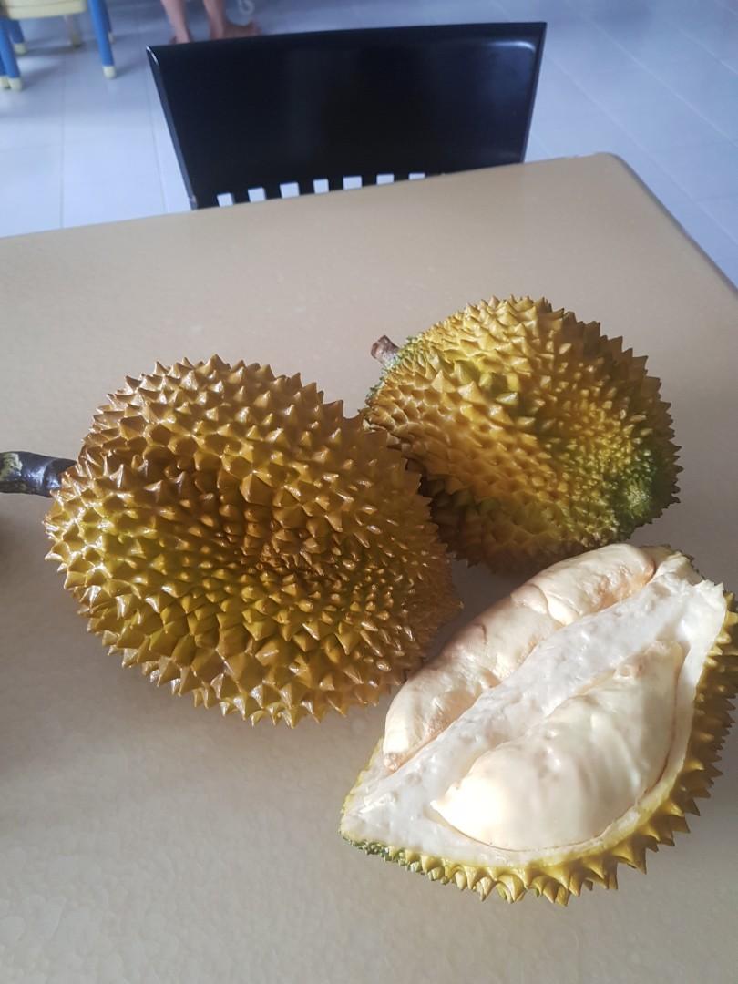 Durian Display Plastic Material, Food & Drinks, Other Food & Drinks on ...