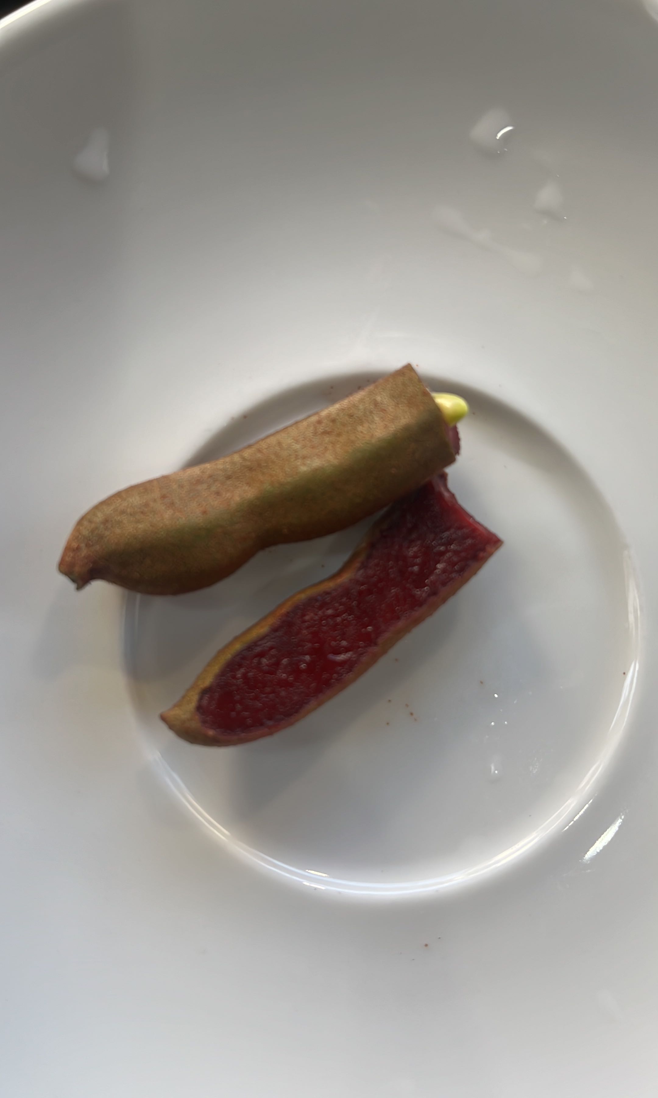 Rare Thai red tamarind plant, Furniture & Home Living, Gardening ...