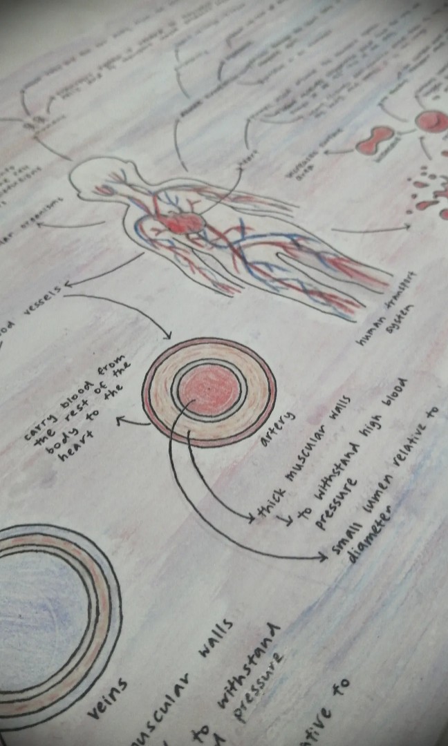 sec 2 science notes!!, Hobbies & Toys, Books & Magazines, Assessment ...