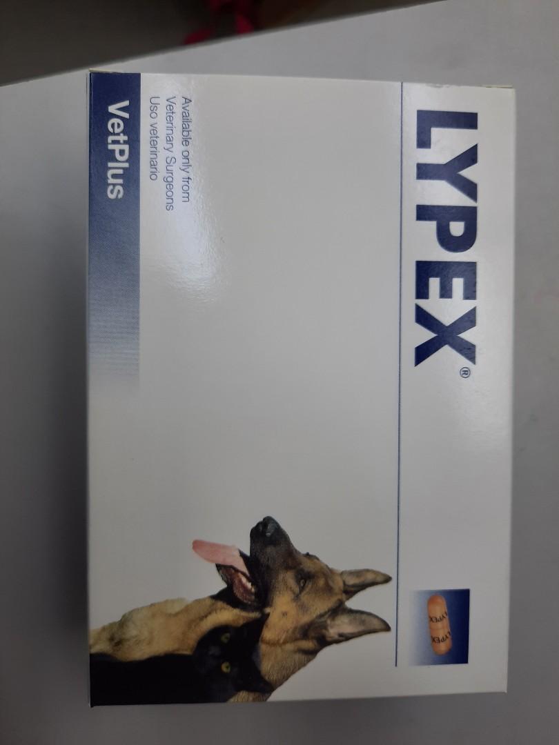 長期現貨 lypex 多酶膠囊 多酶素（適用於胰腺,胰臟、消化不良的膳食補充劑） - 60粒裝, 寵物用品, 寵物食品 - Carousell