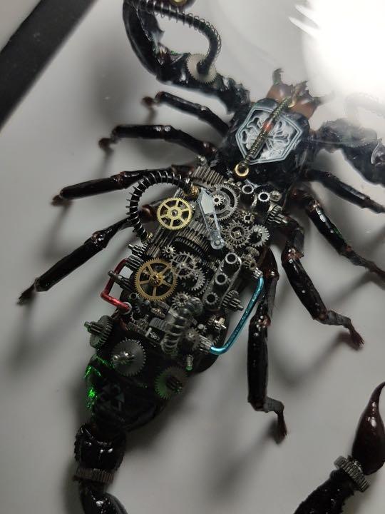 Cyberpunk Scorpion Augmented Specimen, Hobbies & Toys, Stationery ...