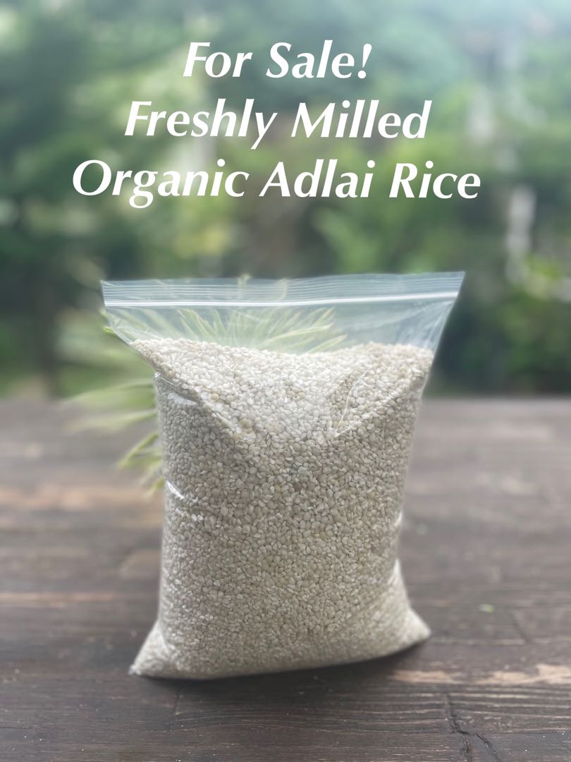 Pure Organic Adlai Rice, Food & Drinks, Fresh Produce on Carousell