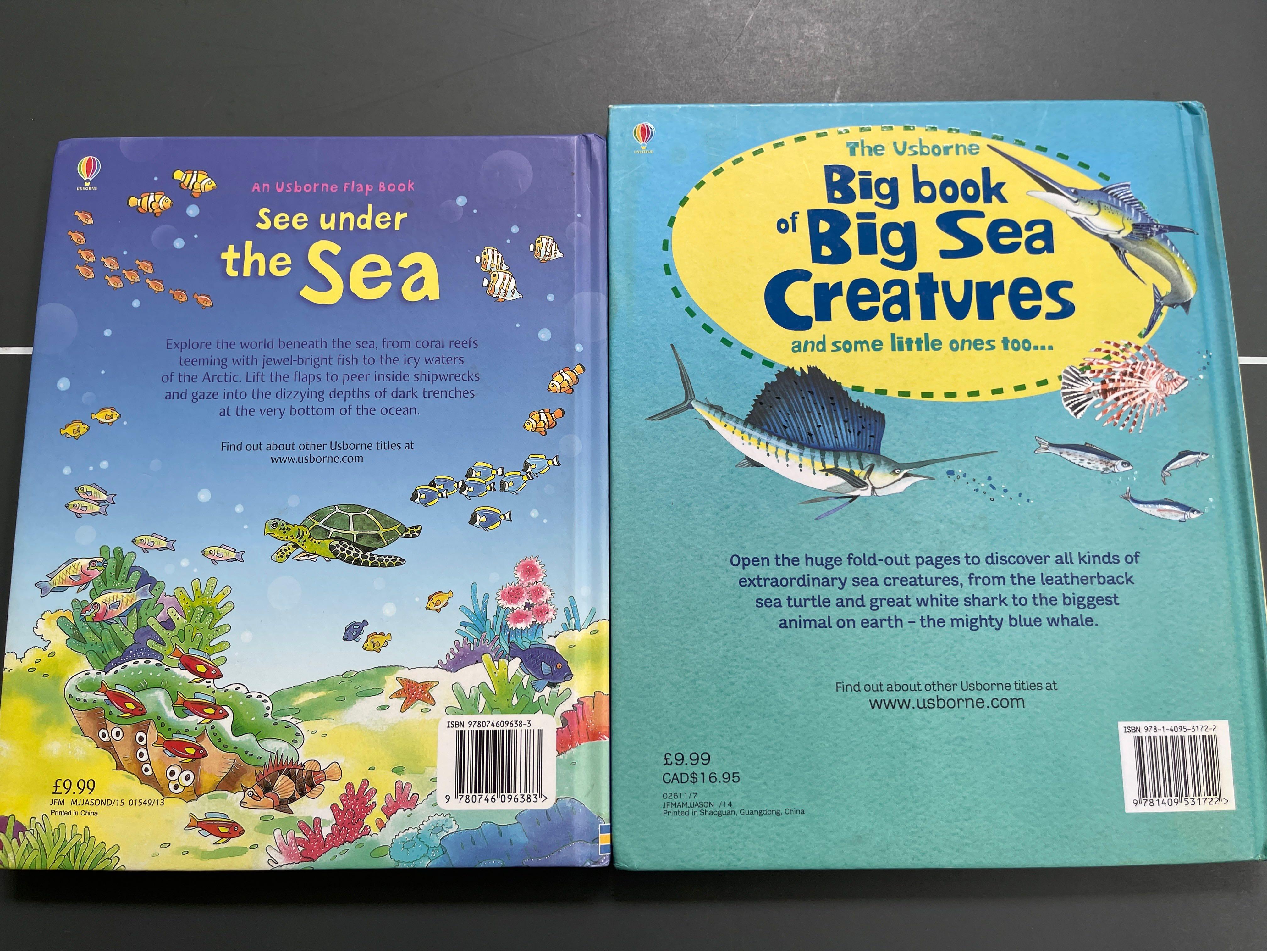 Usborne Books - Sea Creatures & See under the Sea, Hobbies & Toys ...