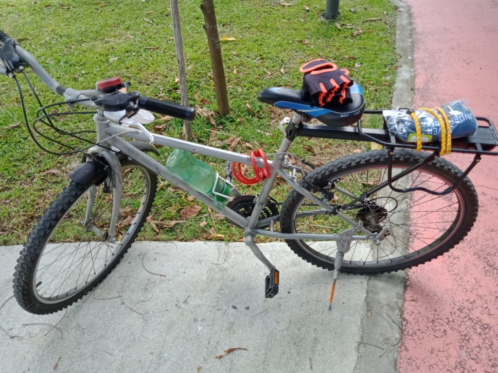 21 Speed Workhorse Bicycle READY TO RIDE, Sports Equipment, Bicycles ...