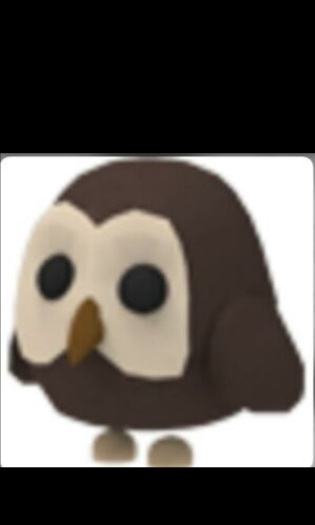 Adopt Me Owl Video Gaming Gaming Accessories In Game Products On adopt-me-owl-video-gaming-gaming-accessories-in-game-products-on