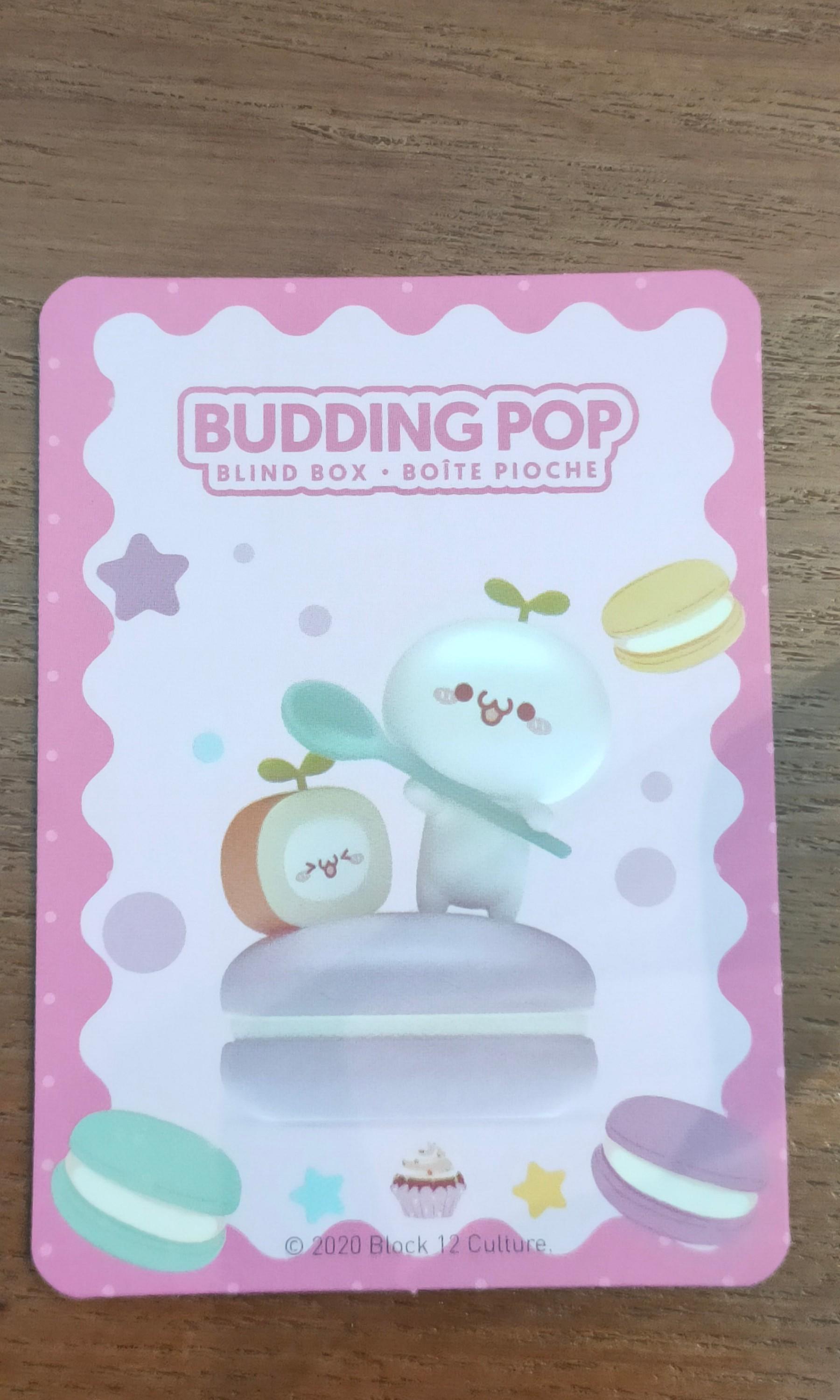 Budding Pop figurine miniso, Hobbies & Toys, Toys & Games on Carousell