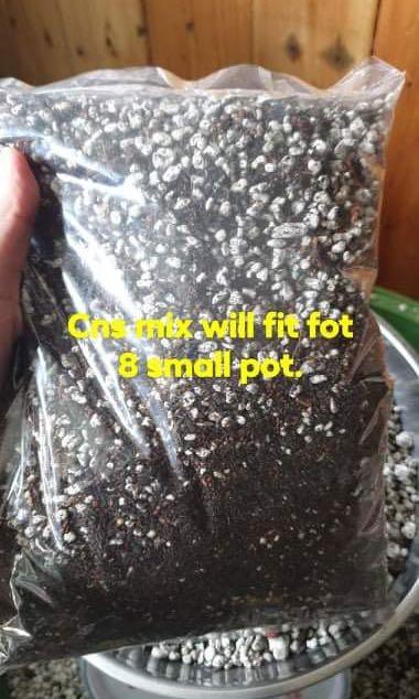 CNS Soil Mix (1 kg), Furniture & Home Living, Gardening, Soil ...
