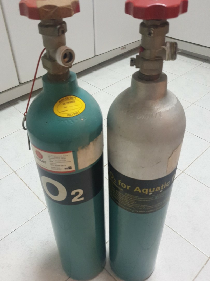 CO2 tanks, Pet Supplies, Homes & Other Pet Accessories on Carousell
