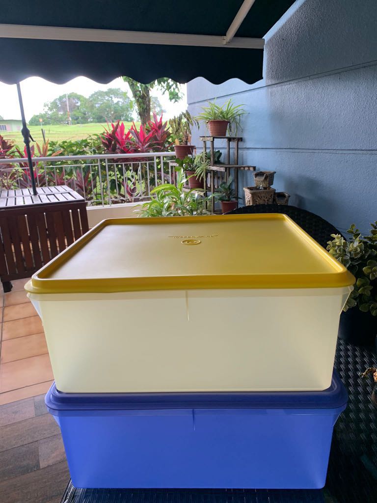 Tupperware Mega Square Keeper, Furniture & Home Living, Kitchenware ...