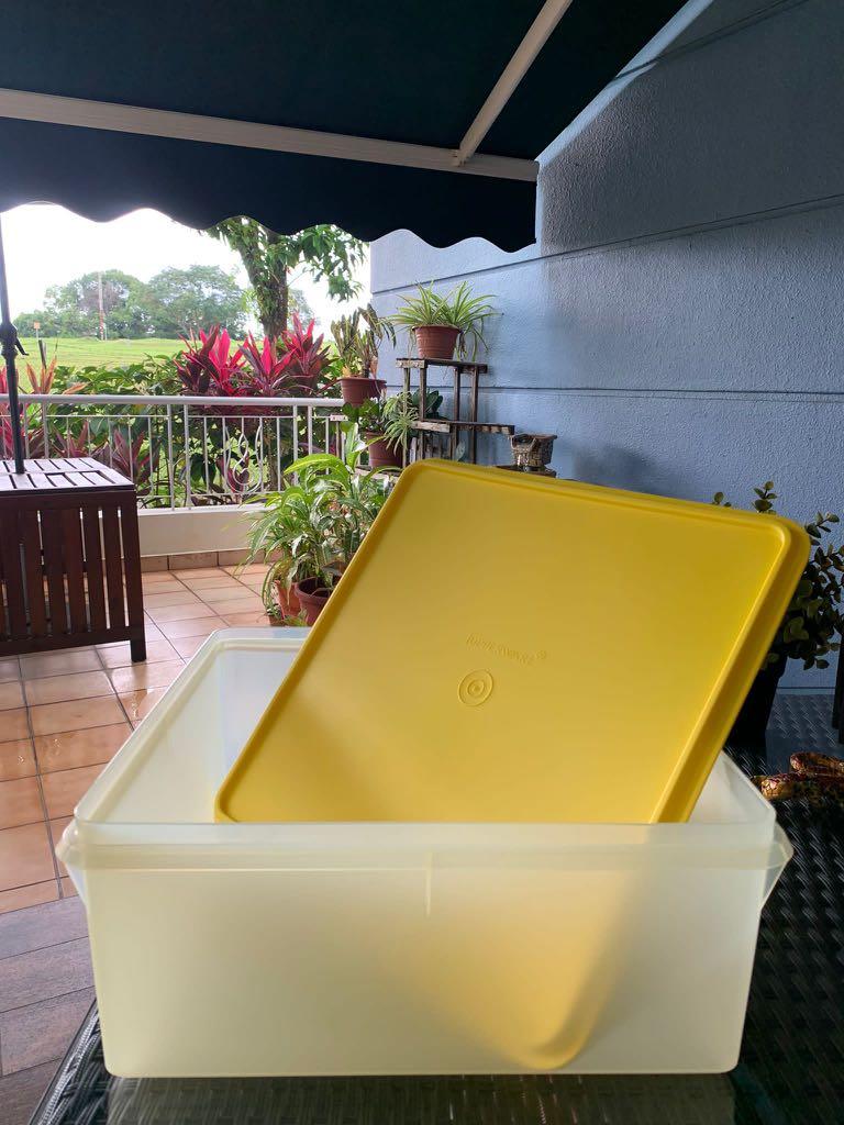 Tupperware Mega Square Keeper, Furniture & Home Living, Kitchenware ...