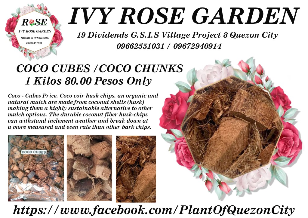 COCO CUBES 1KG, Furniture & Home Living, Gardening, Gardening Tools ...