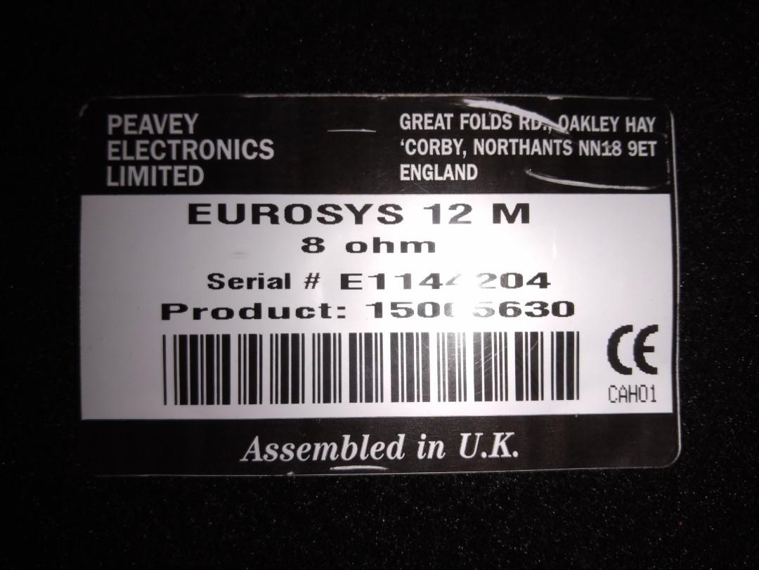 Peavey Eurosys 12M Floor monitor, Audio, Soundbars, Speakers ...