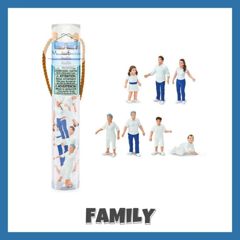 Safari Toob: Human / Body Related (Human Organs / Career / Family ...