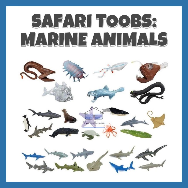 Safari Toob: Marine Animals (Endangered Marine Animals / Pelagic Fish ...