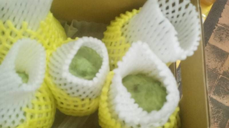 Taiwan-Shakya Atis 4-5pcs, Food & Drinks, Fresh Produce on Carousell