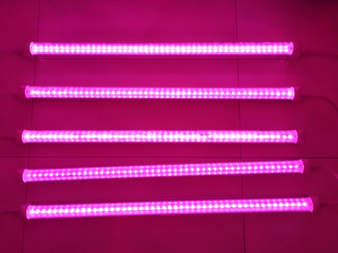 LED Grow Lights Set (5x 60cm Full Spectrum Blurple), Furniture & Home ...