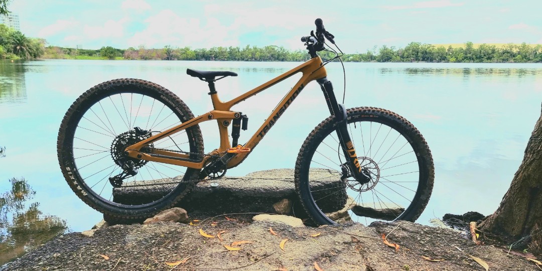 Transition Sentinel 29" 2021, Sports Equipment, Bicycles & Parts ...