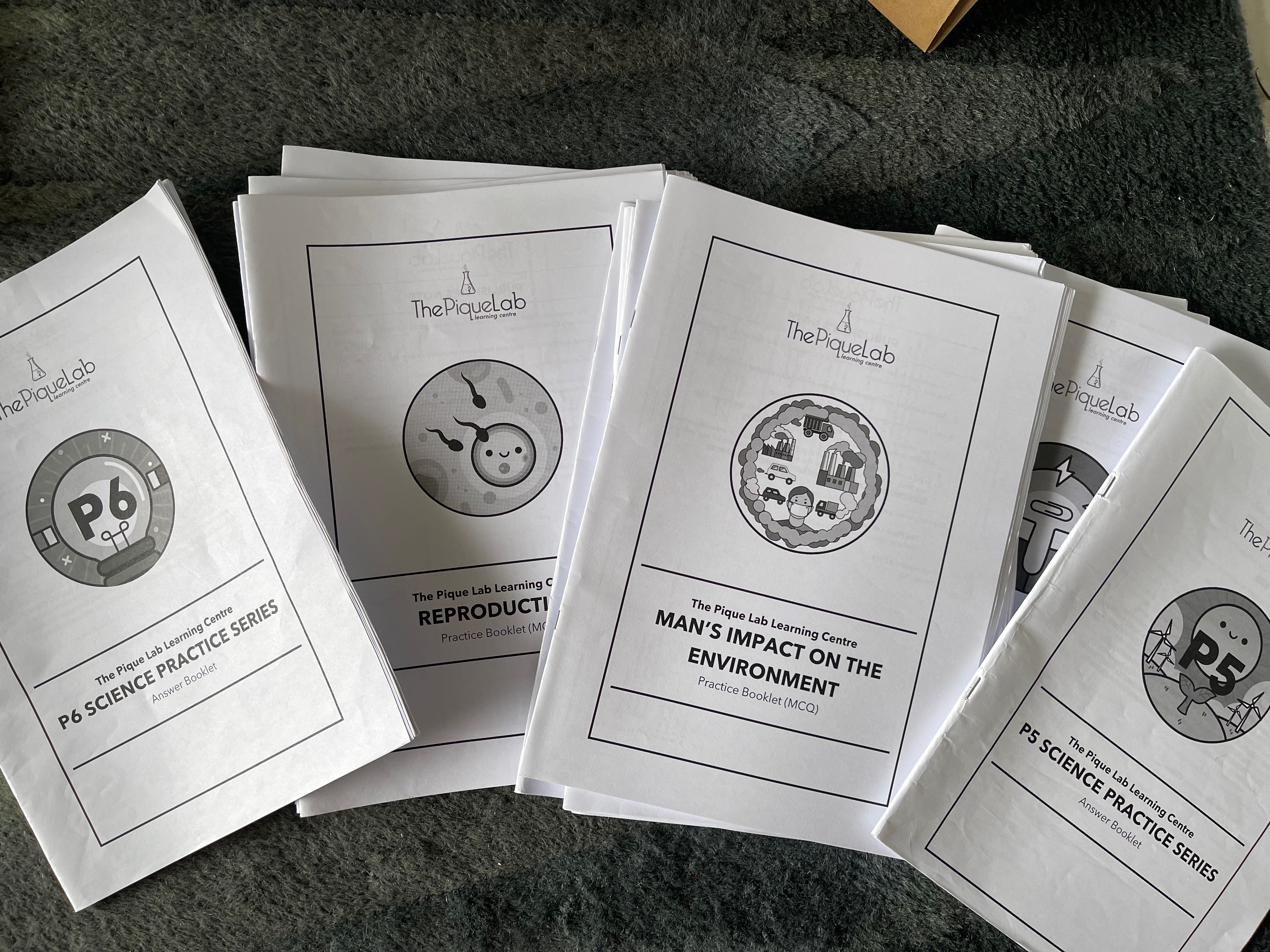 Education: Pique Lab PSLE science practice series p5/p6, Everything ...