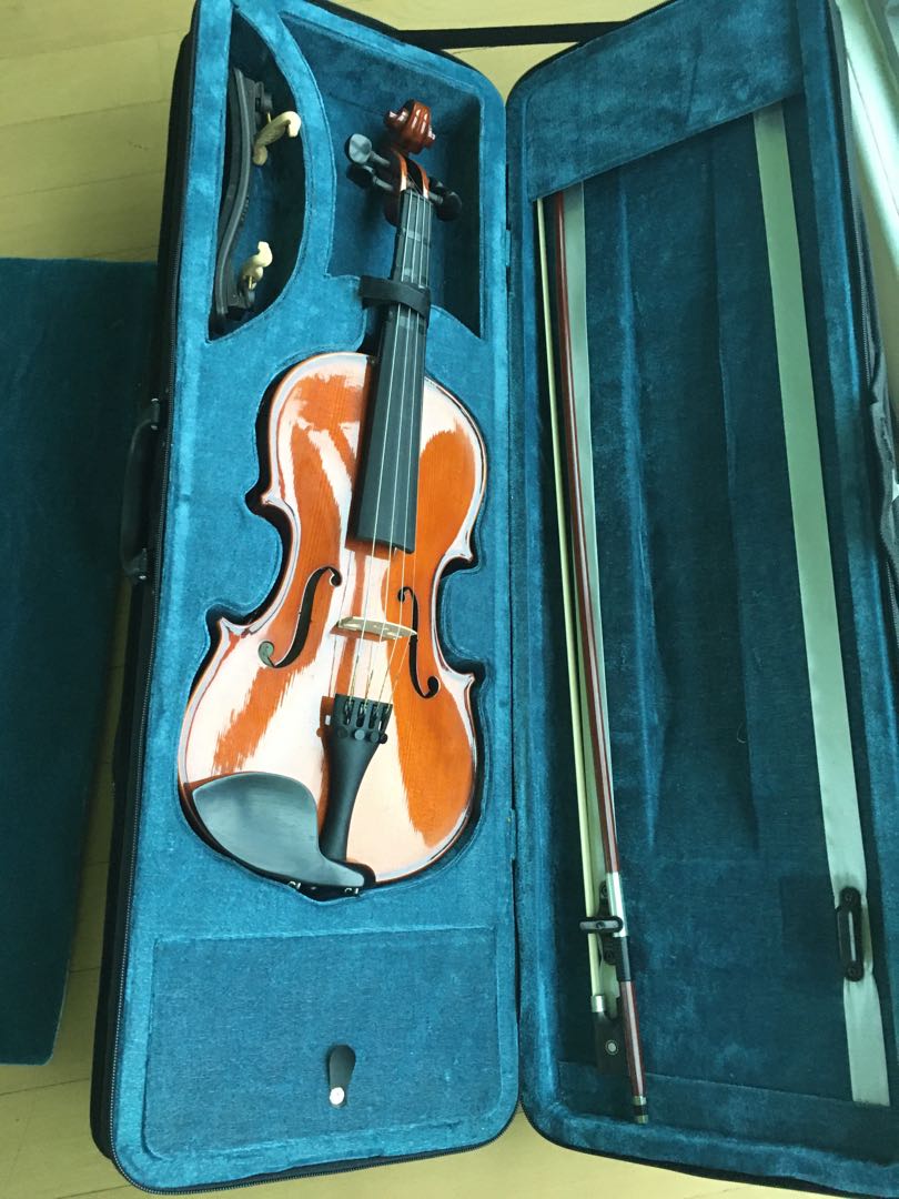 Eurostring violin 4/4, Hobbies & Toys, Music & Media, Musical ...