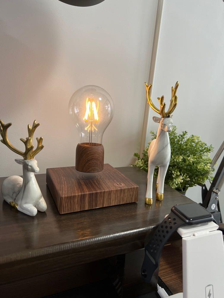 Floating light bulb, Furniture & Home Living, Lighting & Fans, Lighting ...