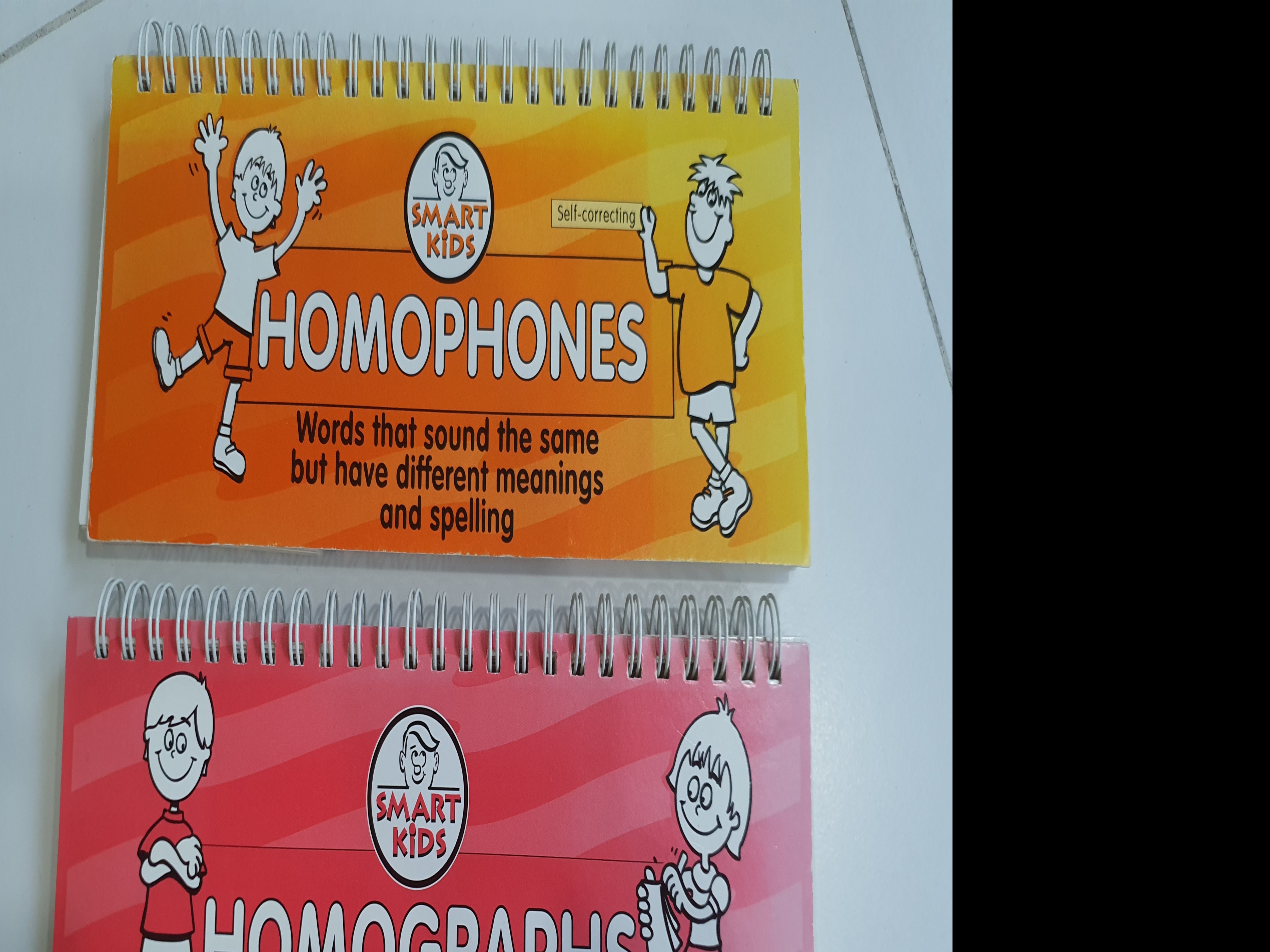 Homophones and Homographs flip cards, Hobbies & Toys, Toys & Games on ...