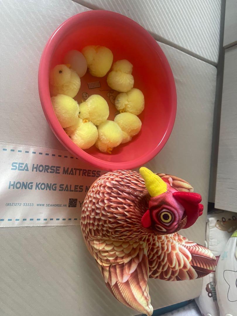 Life size hen & chicks, Babies & Kids, Infant Playtime on Carousell