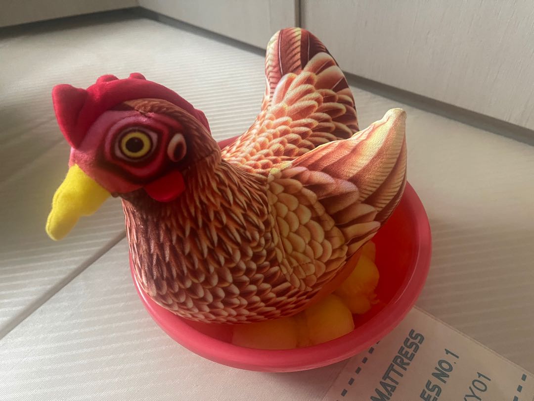 Life size hen & chicks, Babies & Kids, Infant Playtime on Carousell