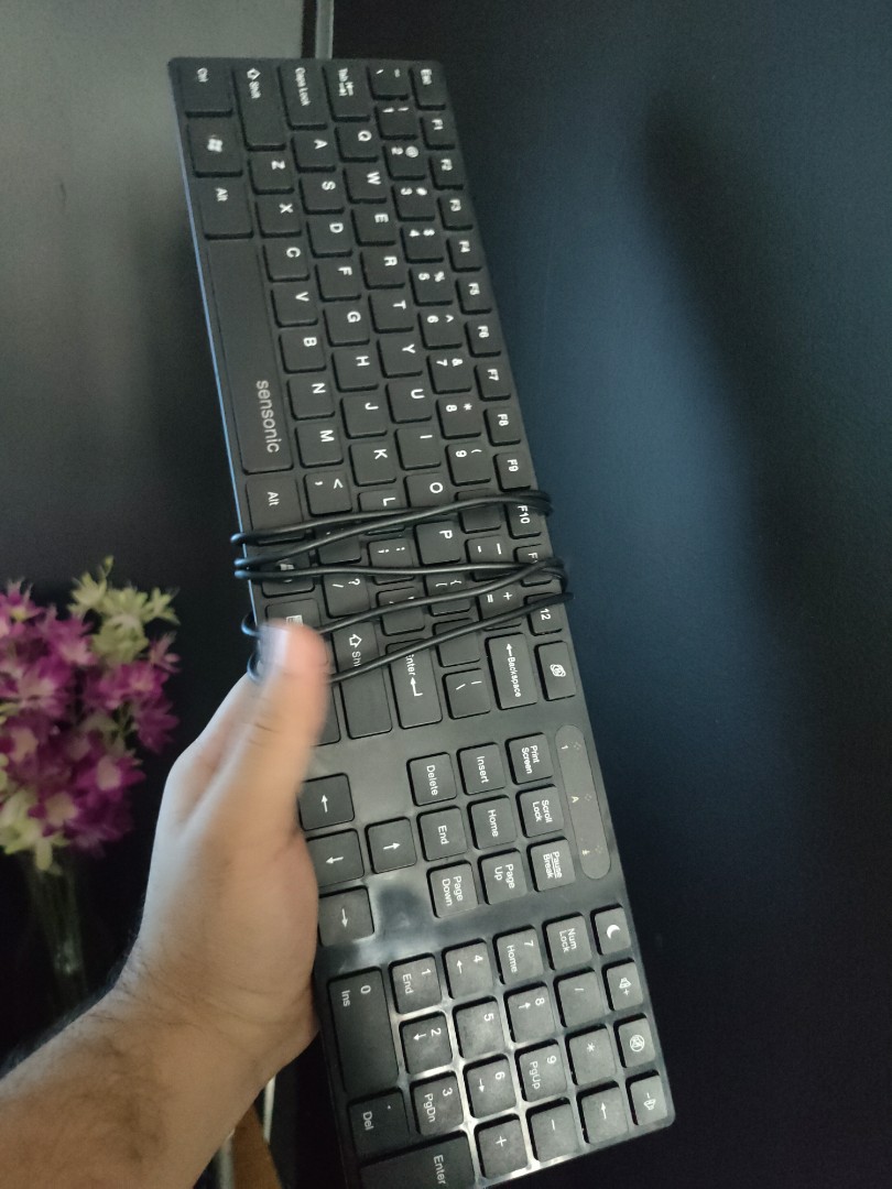 Sensonic Keyboard with Numpad, Computers & Tech, Parts & Accessories ...
