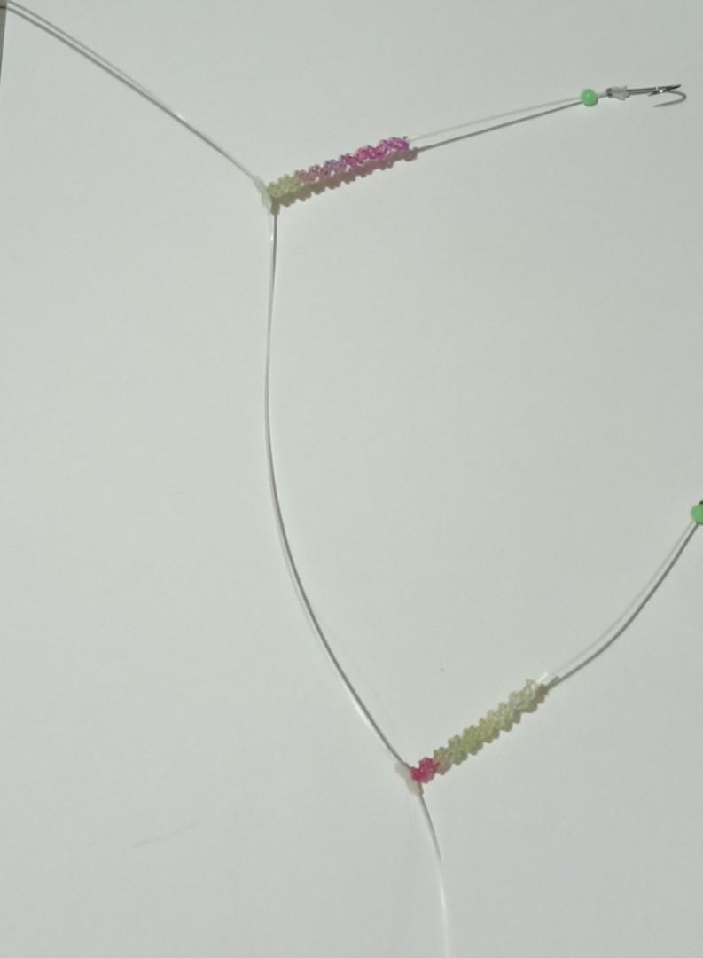 Twisted Apollo rig, Sports Equipment, Fishing on Carousell