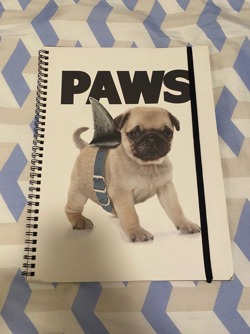 Typo Single Line Notebook (Paws) ~a4, Hobbies & Toys, Stationery ...