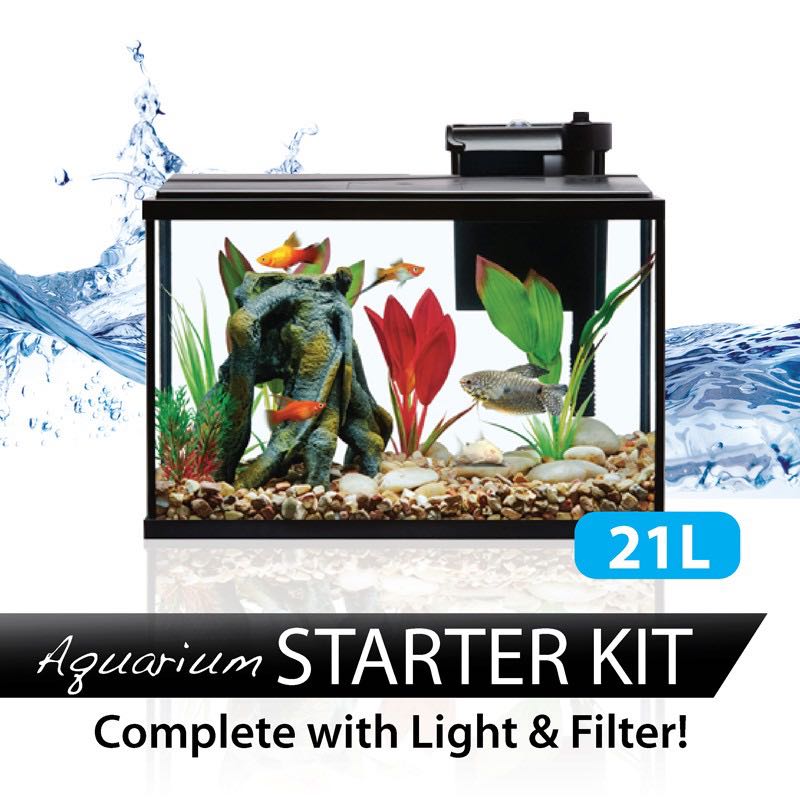 21L AQUARIUM STARTER KIT FISH TANK, Sports Equipment, Fishing on Carousell