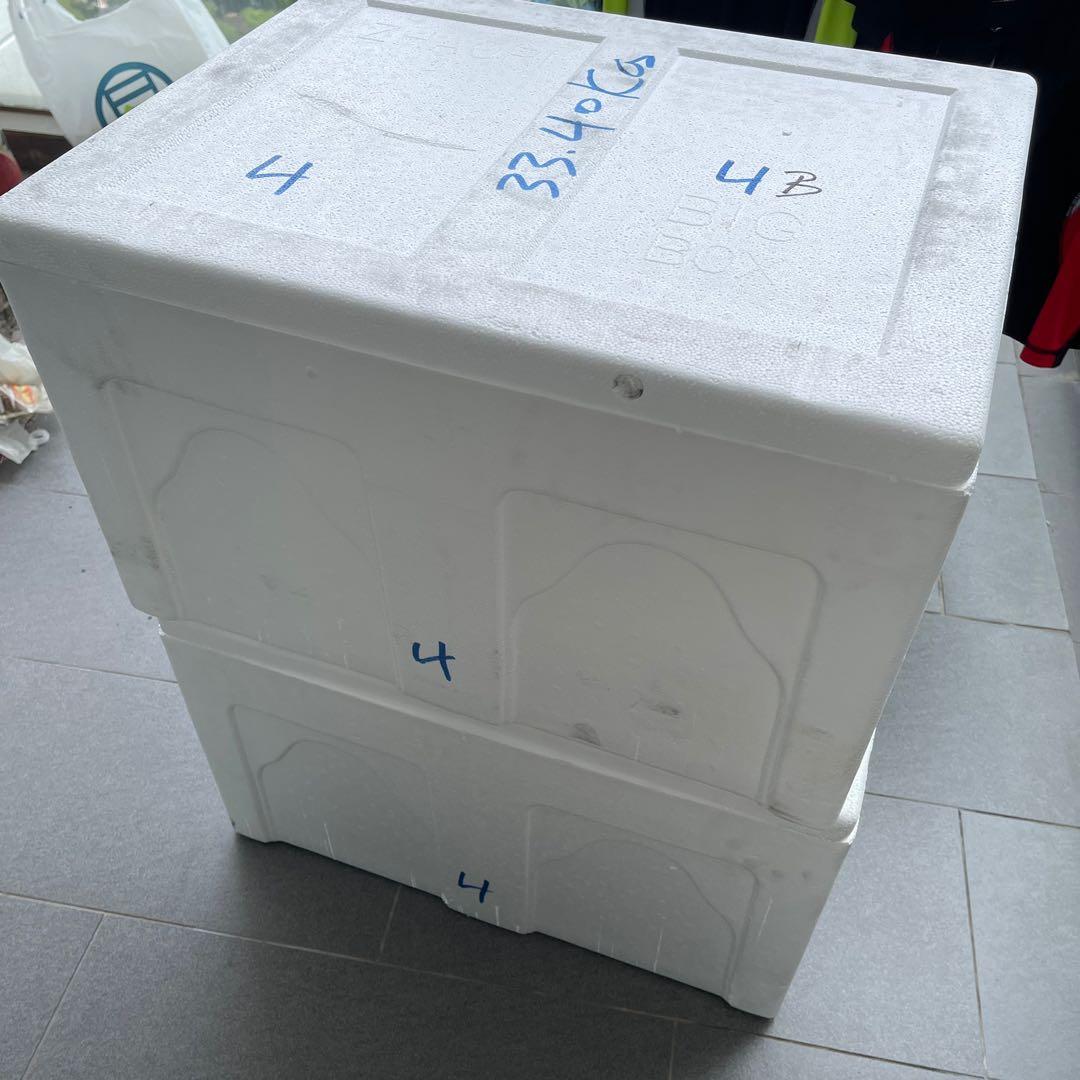 Big Styrofoam Box, Everything Else on Carousell