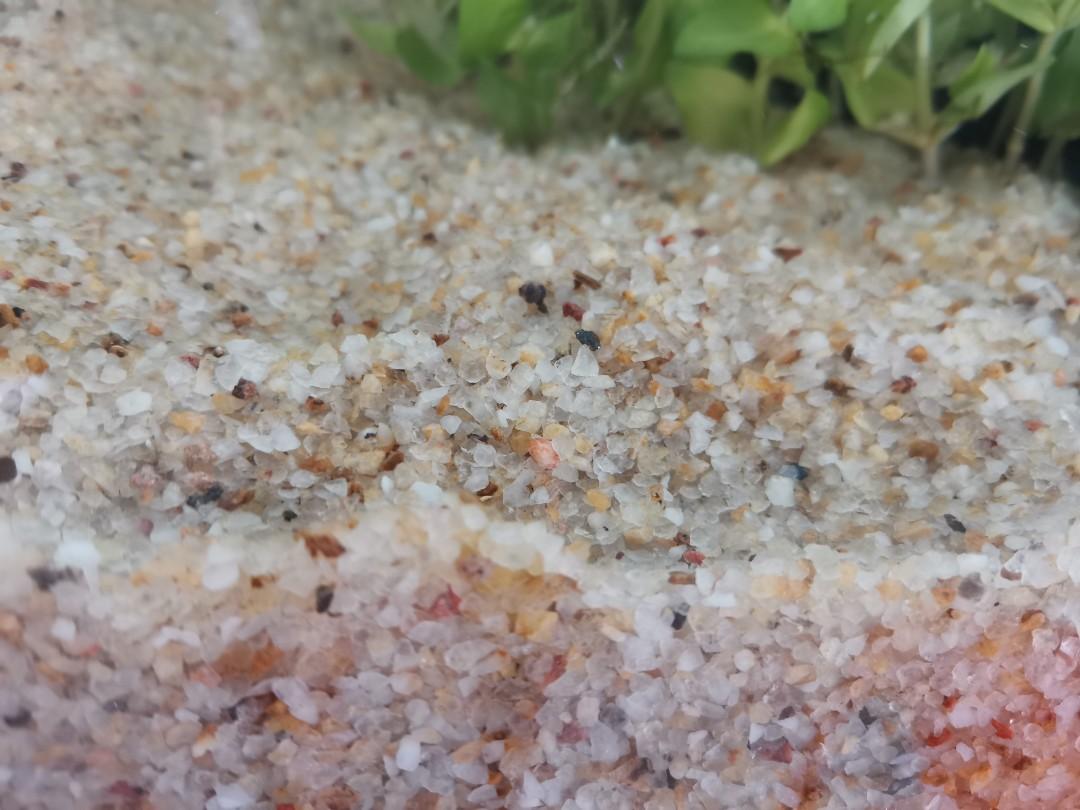 [Bioscape] Natural Light River Sand for Aquarium - 7KG, Pet Supplies ...