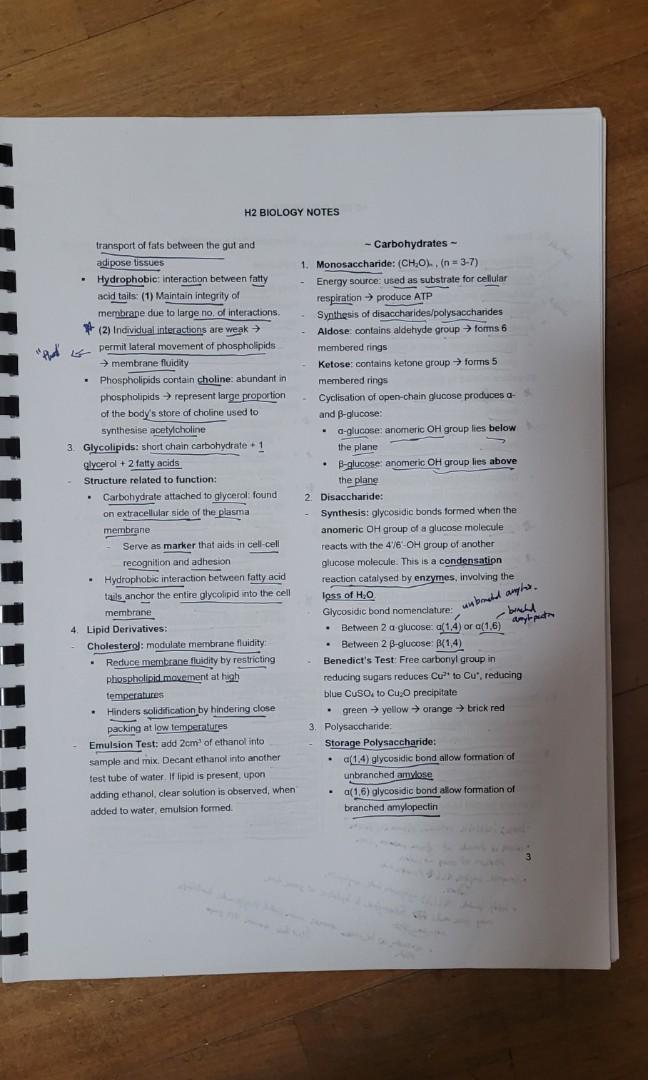 H2 Biology A levels Summarised Content Notes, Hobbies & Toys, Books ...