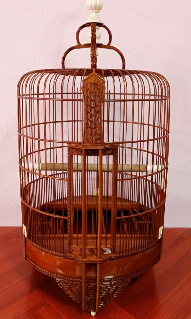 14" Banzi / Banji (Hwa Bee / Hua Mei / Hwa Mei / Huay Bee / HB) Bird ...