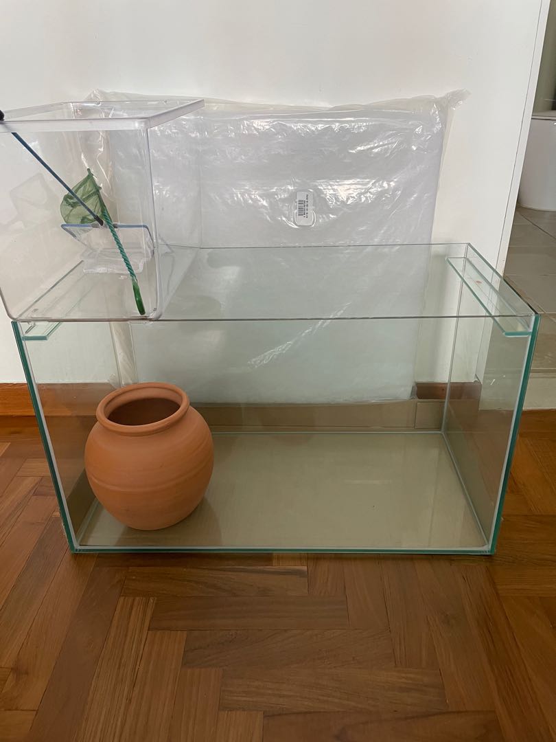 2 ft tank, Pet Supplies, Homes & Other Pet Accessories on Carousell