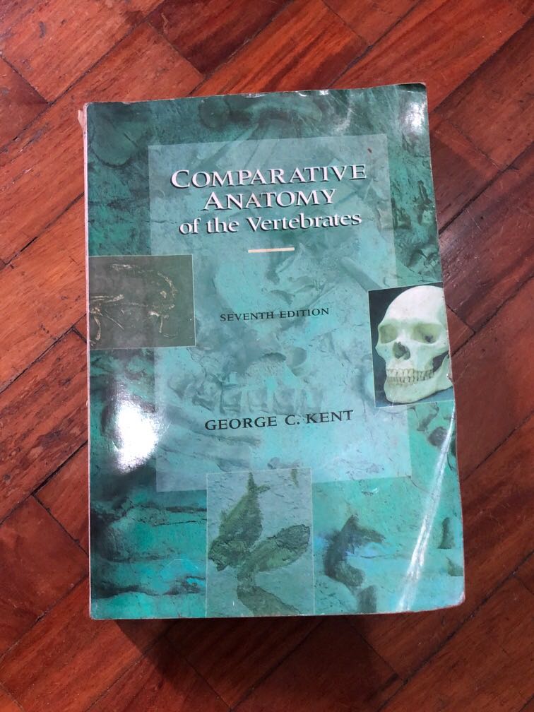 Comparative Anatomy of the Vertebrates, Hobbies & Toys, Books ...