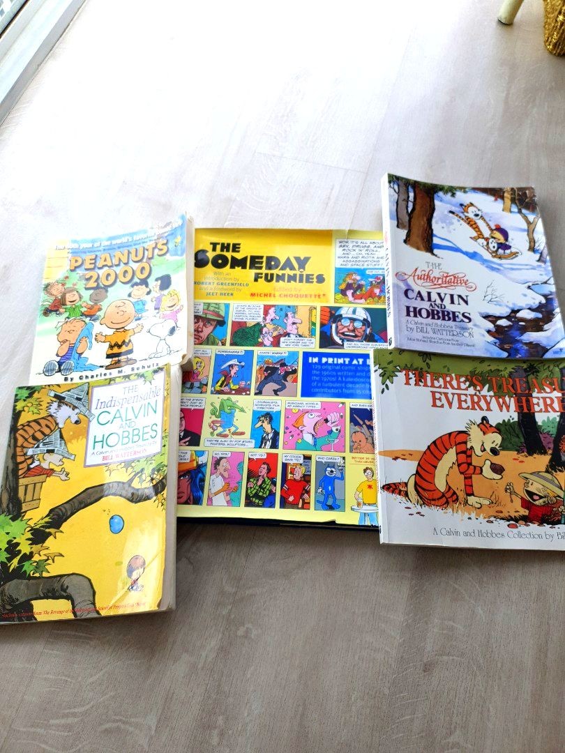 Large format classic comic strip collection, Hobbies & Toys, Books ...