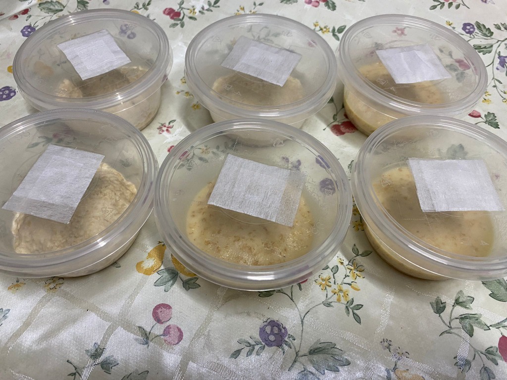 Microworm Baby Fish Fry Food Worm Betta (S) $3 (L) $6, Pet Supplies ...