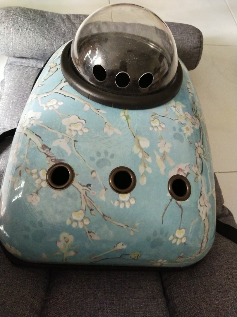 Per carrier capsule bagpack, Pet Supplies, Homes & Other Pet ...