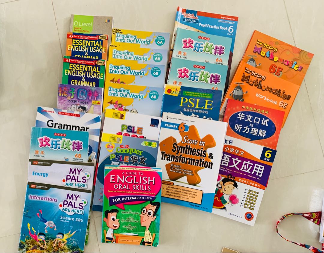 Primary 6 Textbook and Assessment Book, Hobbies & Toys, Books ...