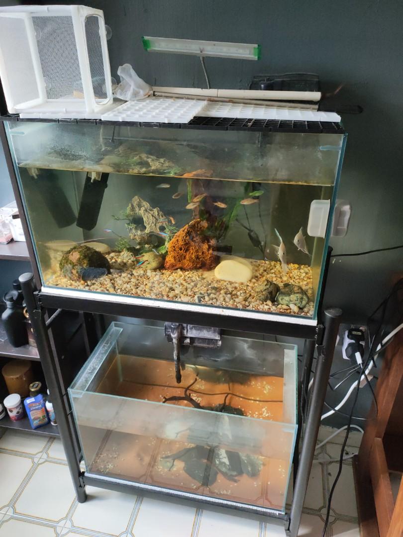 2 x 2 feet fresh water tanks, Pet Supplies, Homes & Other Pet ...