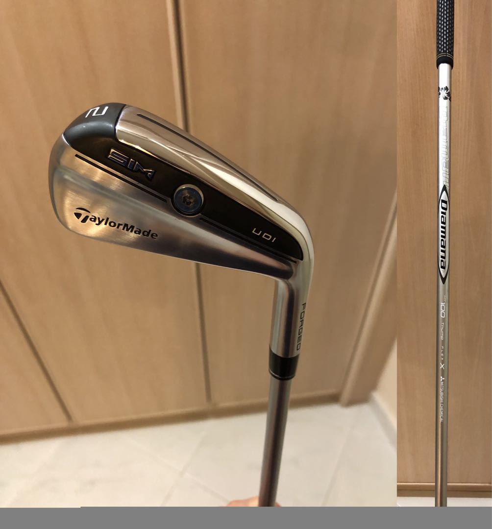Taylormade SIM UDI 2 Driving Iron FORGED [PREMIUM Diamana THUMP HY 100 ...