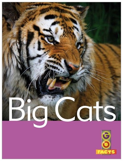 Children Storybook: Go Facts: Mammals (4 books) with Teaching Guide ...