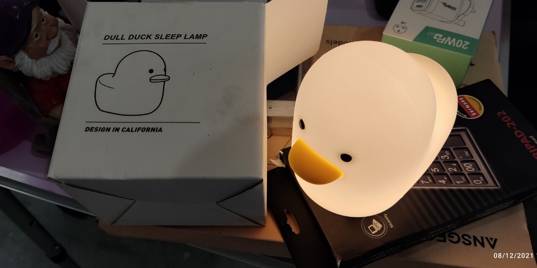 Dull Duck Sleep Lamp, Furniture & Home Living, Lighting & Fans ...