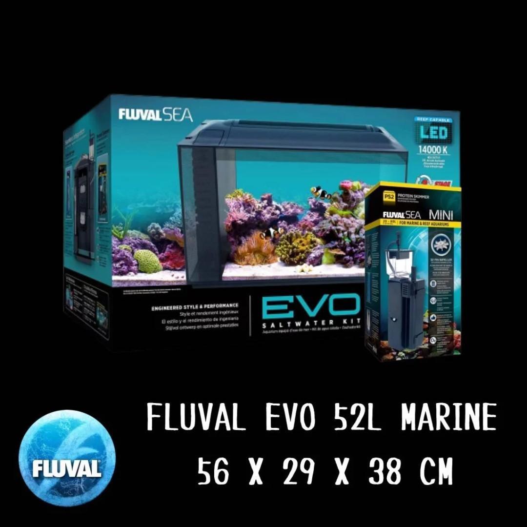 Fluval Evo 13.5 Marine Tank, Pet Supplies, Homes & Other Pet ...