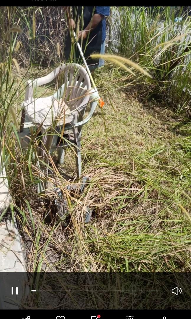 Grassbuster, Services, Home Services, Cleaning on Carousell