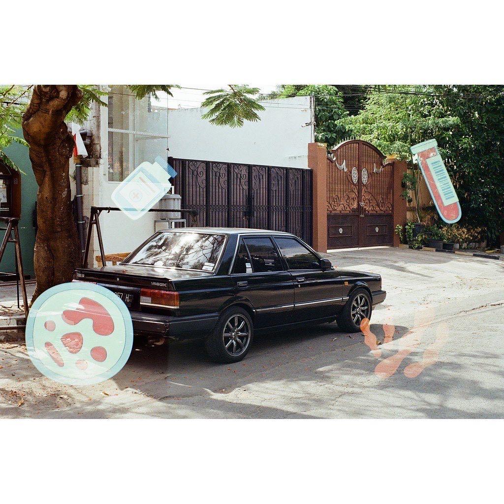 Hoasca Virus 35mm Film Photography ISO 200, Photography, Photography ...