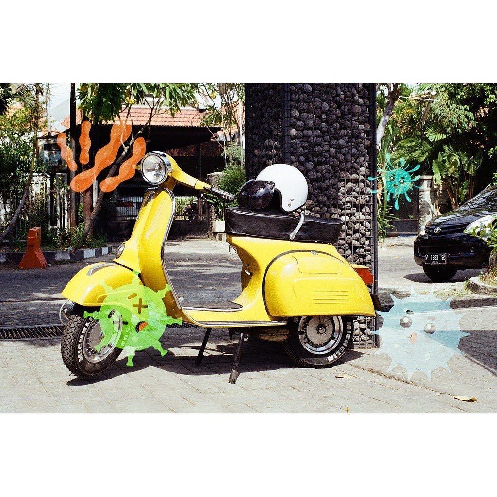 Hoasca Virus 35mm Film Photography ISO 200, Photography, Photography ...